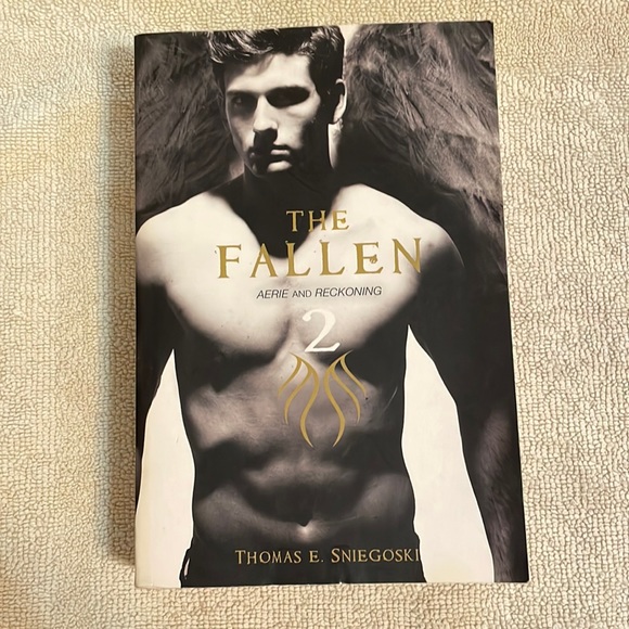 Chronicle Books | Other | 26 The Fallen 2 Books In | Poshmark